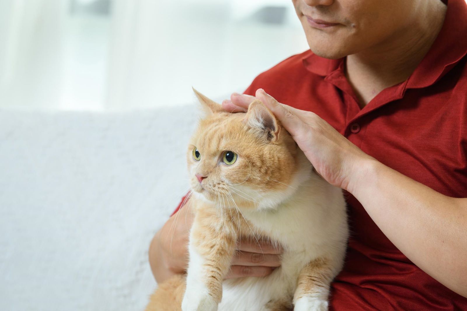 Strengthening Communities Through Animal Health: Boehringer Ingelheim Cares Foundation Provides ...